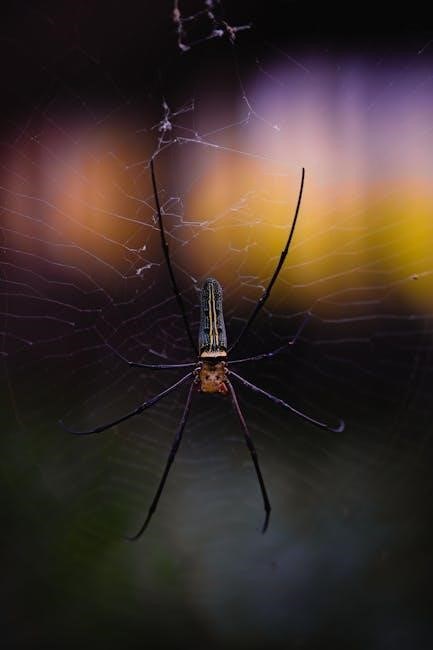 Charlotte's Web Summary PDF | Instant Download
